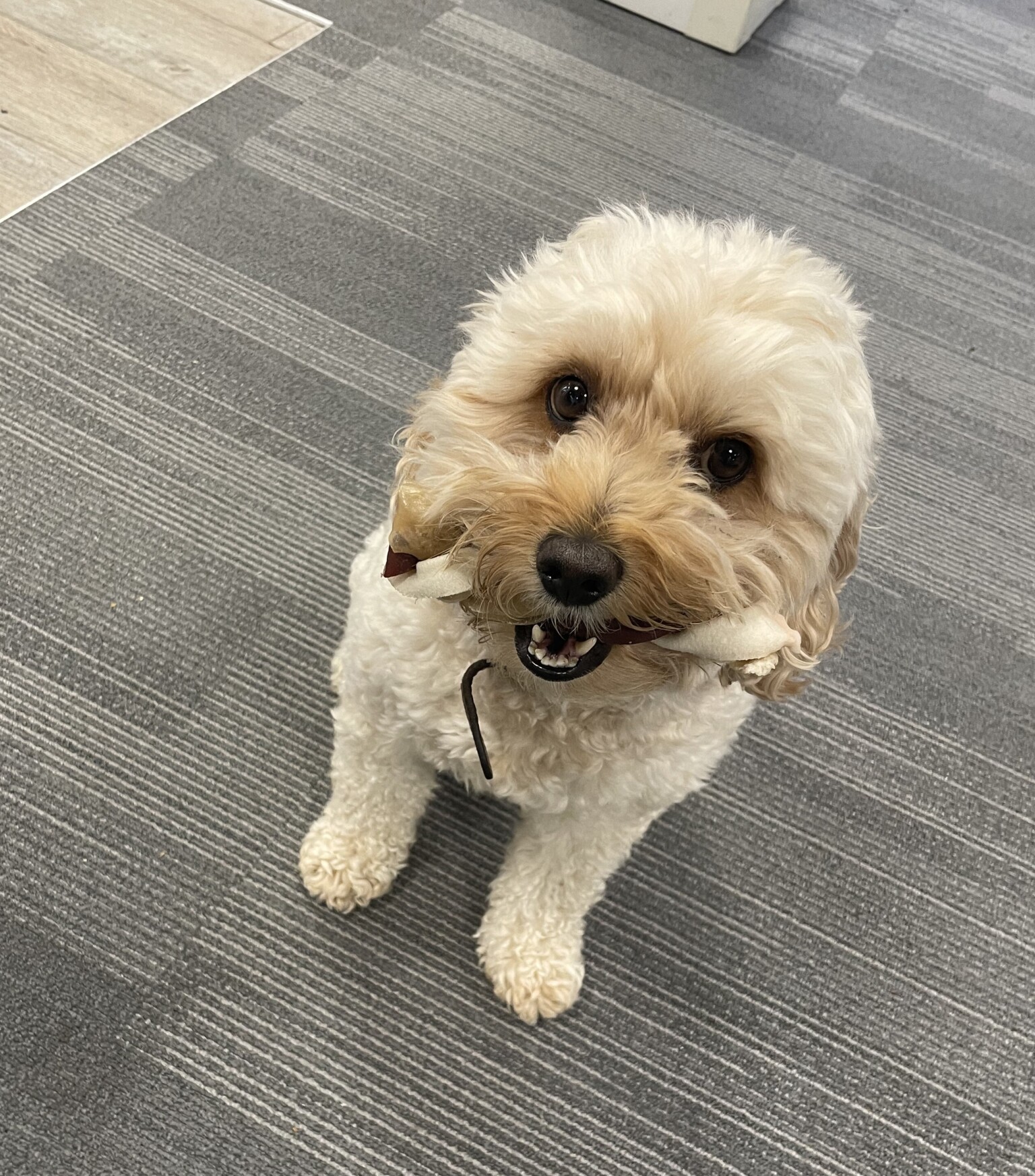 Green Structural Engineering